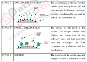 Ion exchange chromatography – Analytical chemistry