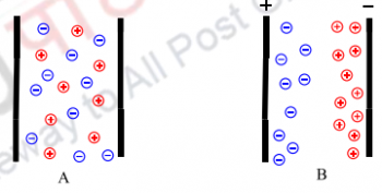 Capillary Electrophoresis – Analytical chemistry