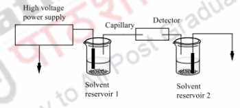 Capillary Electrophoresis – Analytical chemistry