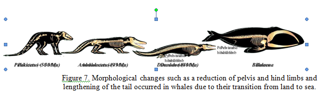 Palaeontology – Environmental geology