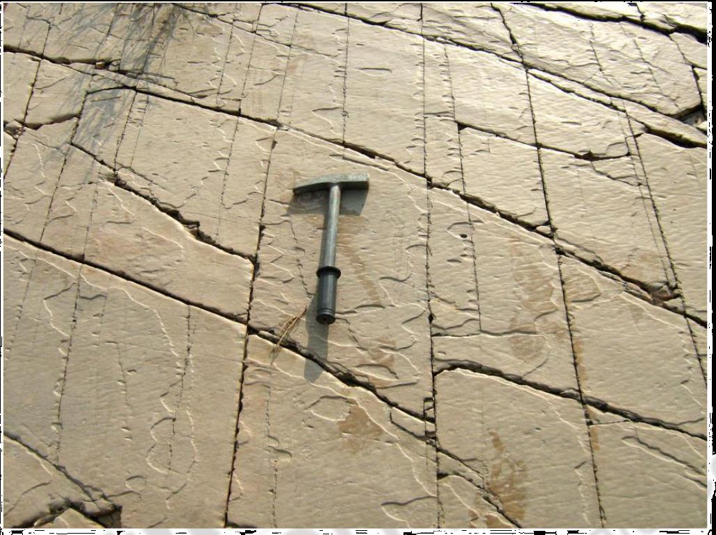 Structural Geology – Environmental geology