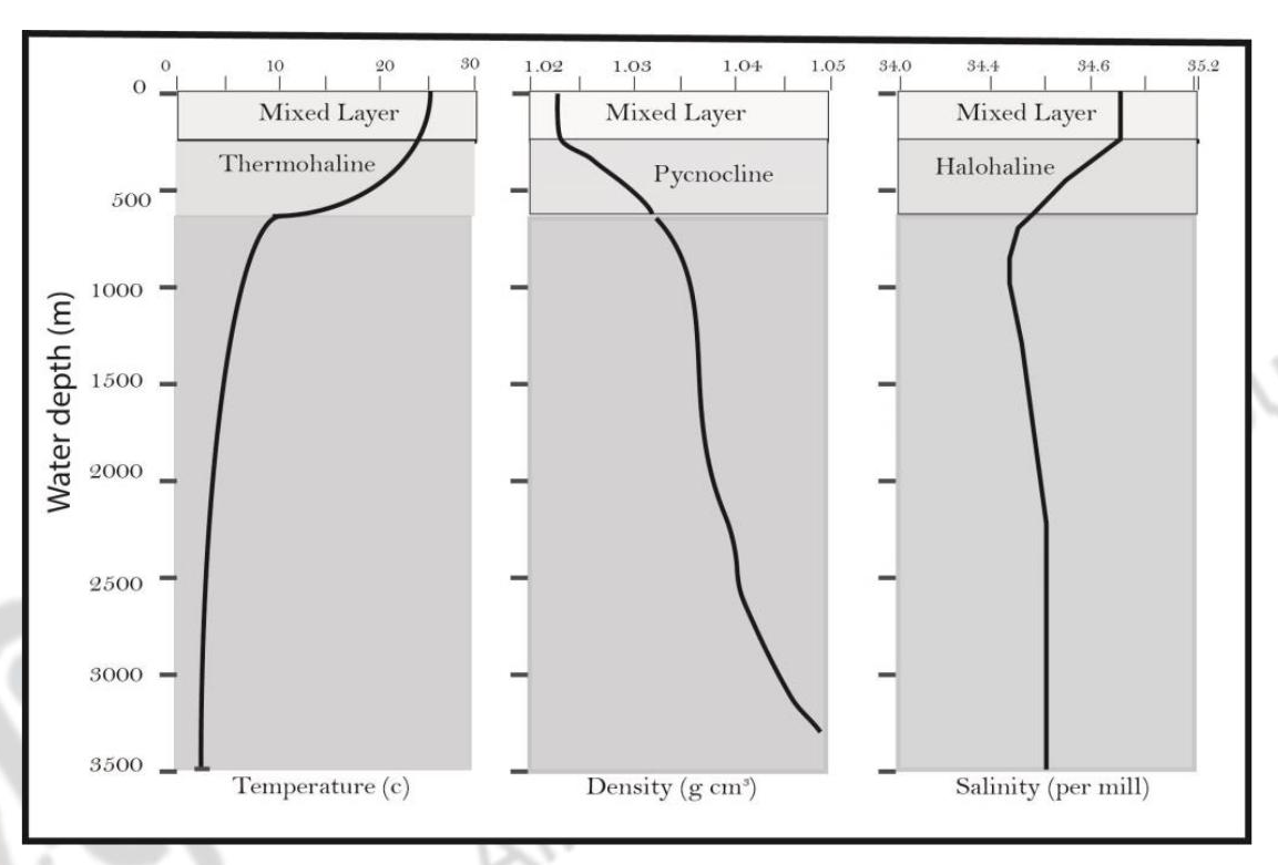 Oceanography – Environmental geology