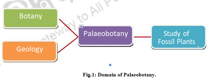 Palaeobotany – Environmental geology