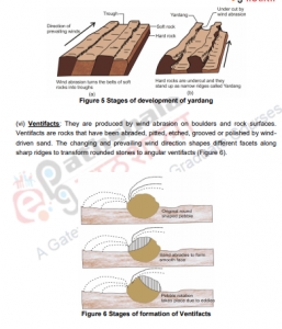WIND AND ITS GEOLOGICAL IMPACTS – Environmental geology