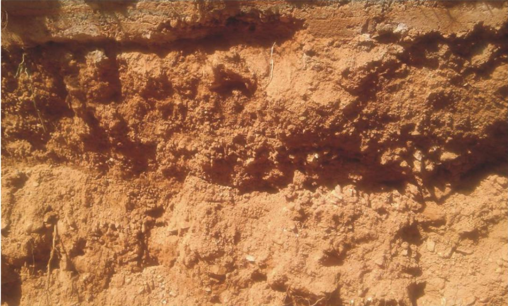 WIND AND ITS GEOLOGICAL IMPACTS – Environmental geology