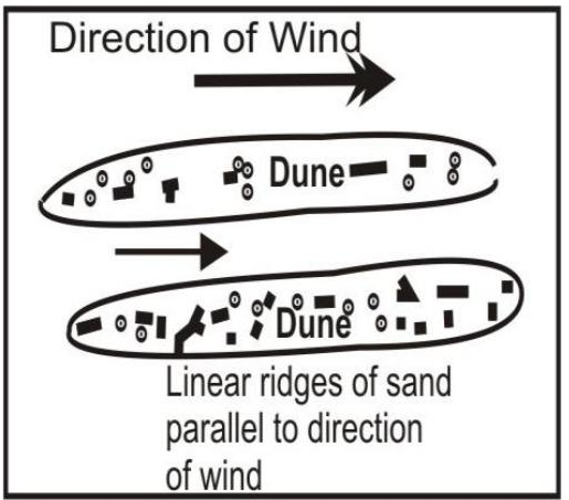 WIND AND ITS GEOLOGICAL IMPACTS – Environmental geology