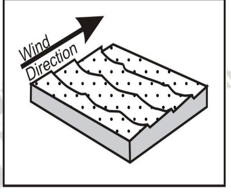 WIND AND ITS GEOLOGICAL IMPACTS – Environmental geology