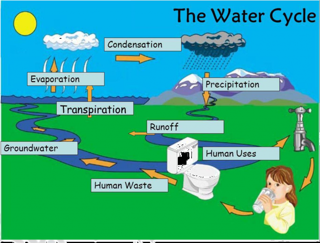Hydrogeology and Hydrologic cycle – Environmental geology