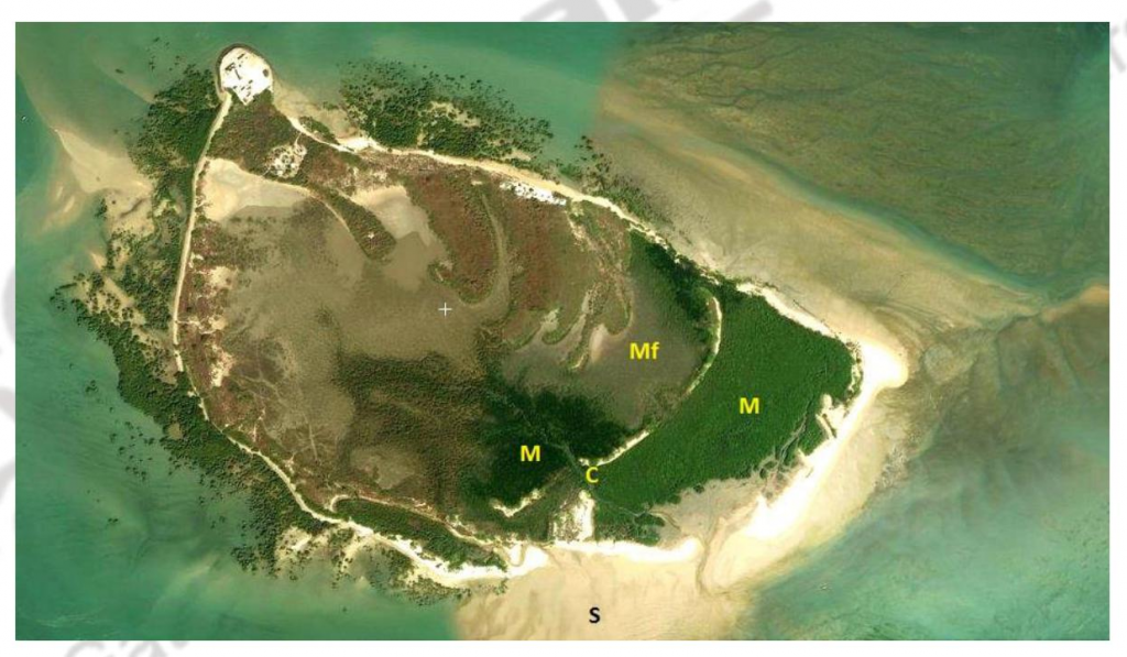 COASTAL ZONE AND COASTAL PROCESSES – Environmental geology