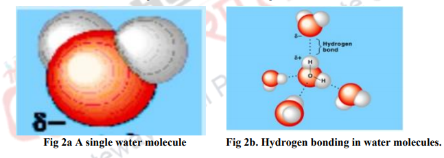 Physical, Chemical and Biological Characteristics of Water – Water ...