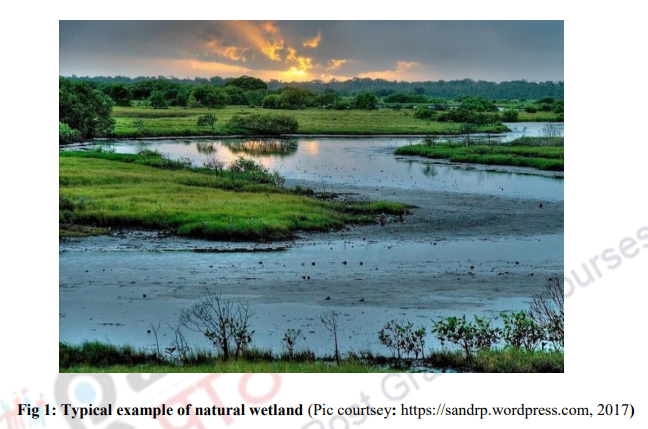 Wetlands Conservation – Water resources and management
