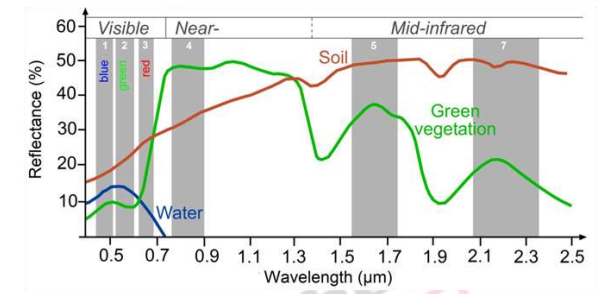 Application of Remote Sensing for Vegetation Mapping – Remote sensing ...