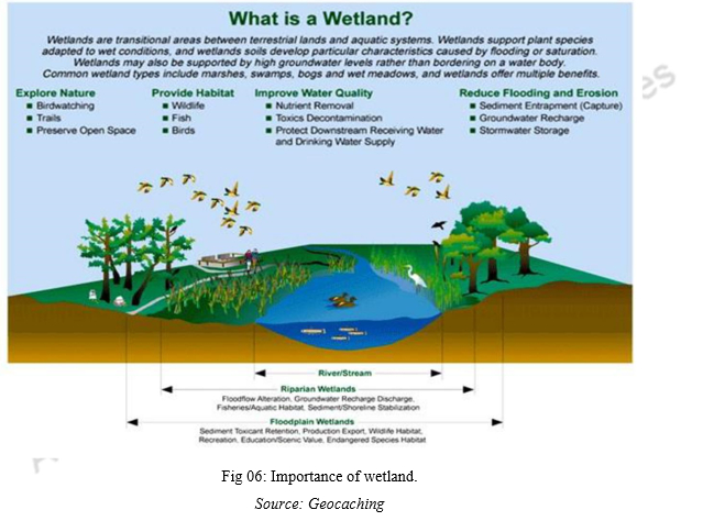 Applications of Remote Sensing and GIS in Wetland Dynamics – Remote sensing & GIS applications ...
