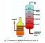 Fossil Fuel Classification and Composition – Energy and environment