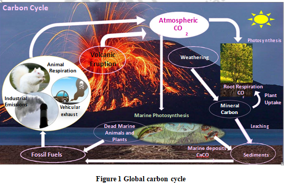 Biogeochemical Cycles – Atmospheric Processes