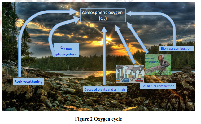 Biogeochemical Cycles – Atmospheric Processes