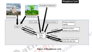 Biogeochemical Cycles – Atmospheric Processes