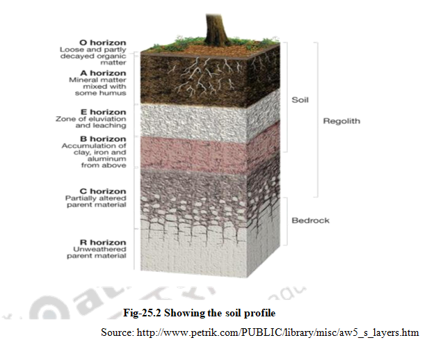 Soil Horizons – Environmental Pollution I1- Water & Soil