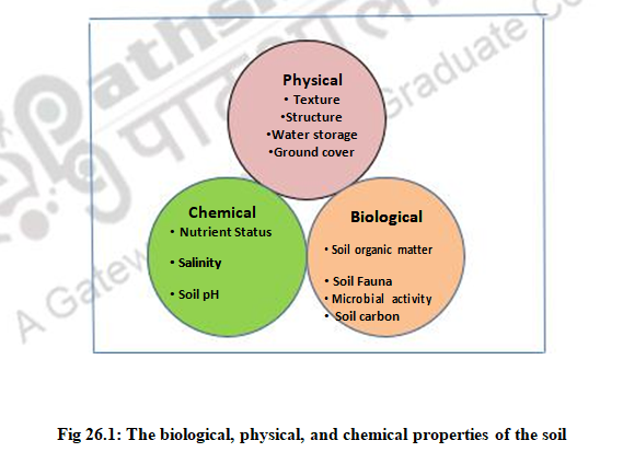Physical Properties of Soil – Environmental Pollution I1- Water & Soil