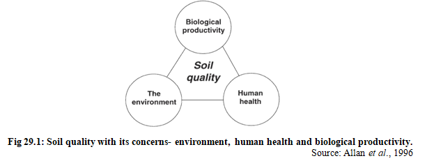 Soil Quality Analysis – Environmental Pollution I1- Water & Soil