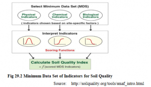 Soil Quality Analysis – Environmental Pollution I1- Water & Soil