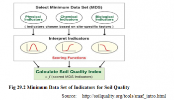 Soil Quality Analysis – Environmental Pollution I1- Water & Soil