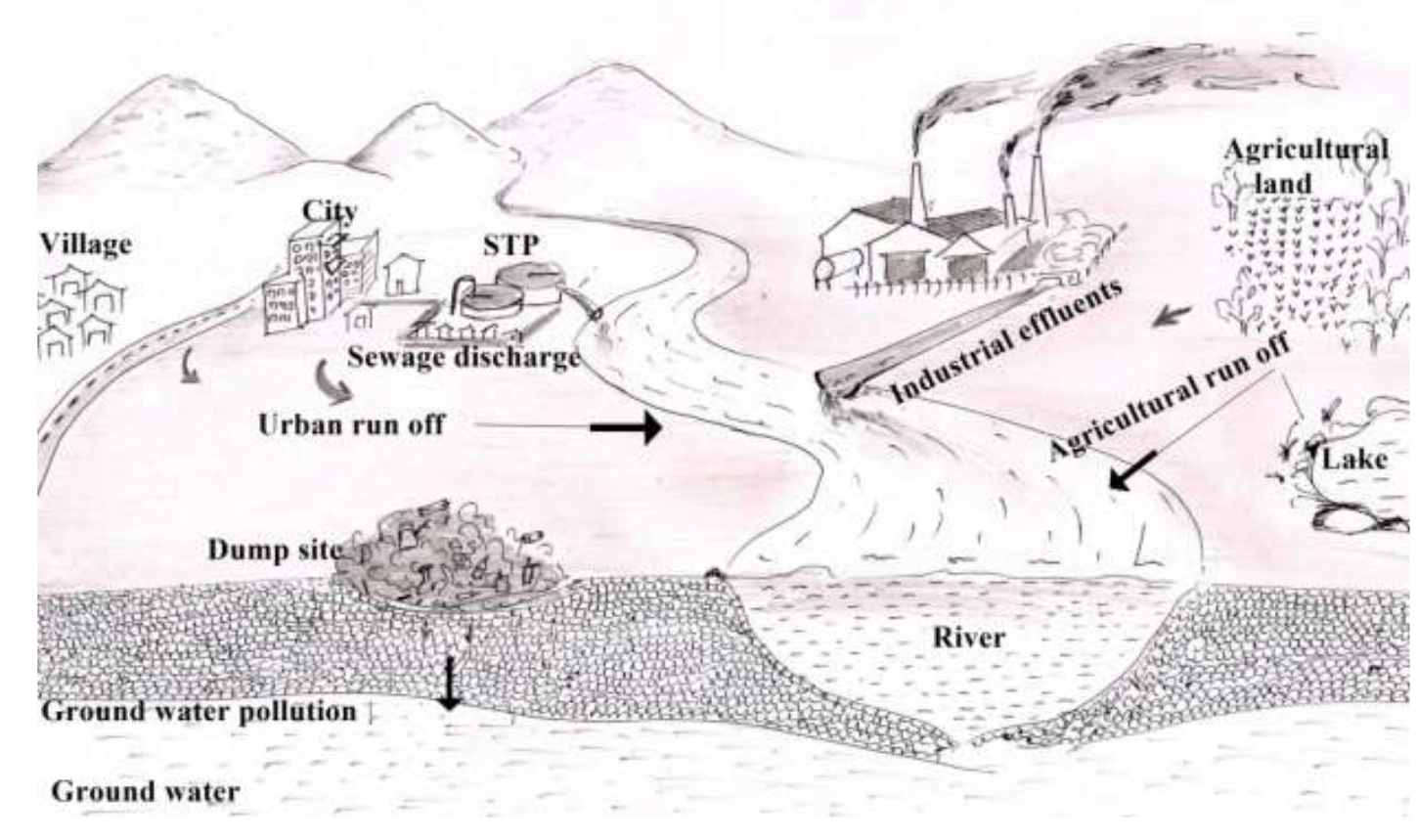 Water pollution – Environmental Pollution I1- Water & Soil