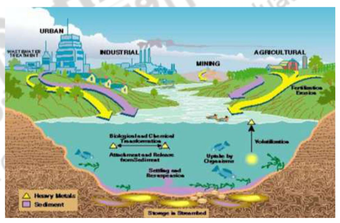 Soil Pollution – Environmental Pollution I1- Water & Soil