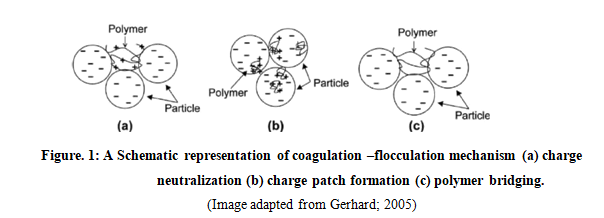 Coagulation, Flocculation and Precipitation – Environmental Pollution ...