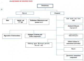 Disinfections- Types of disinfectants & mode of action – Environmental ...