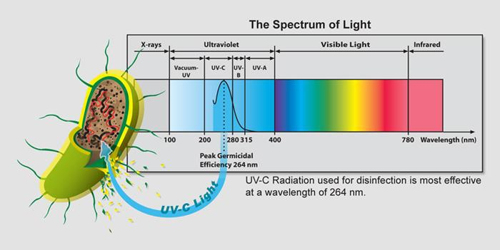 Disinfection by UV, Ozone and Chlorination – Environmental Pollution I1 ...