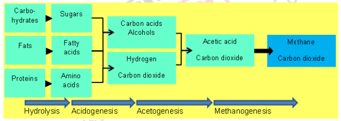 Energy from waste – Biogasification – Solid and Hazardous Waste Management