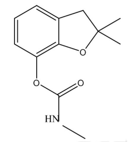 Pesticide Pollution – Environmental Microbiology & Biotechnology