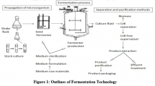 Fermentation Technology – Environmental Microbiology & Biotechnology