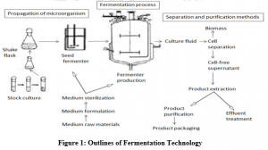 Fermentation Technology – Environmental Microbiology & Biotechnology