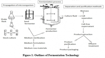 Fermentation Technology – Environmental Microbiology & Biotechnology