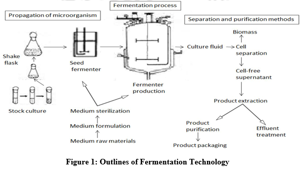 Fermentation Technology – Environmental Microbiology & Biotechnology