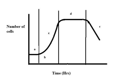 Fermentation Technology – Environmental Microbiology & Biotechnology