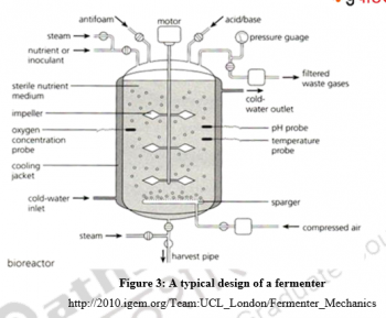 Fermentation Technology – Environmental Microbiology & Biotechnology