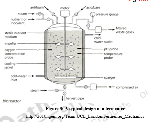 Fermentation Technology – Environmental Microbiology & Biotechnology