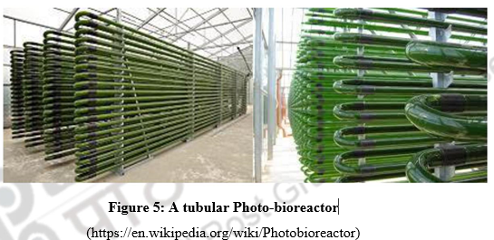 Fermentation Technology – Environmental Microbiology & Biotechnology