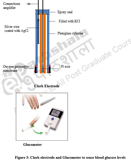 Biosensors: An Introduction – Environmental Microbiology & Biotechnology