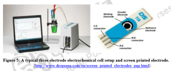 Biosensors: An Introduction – Environmental Microbiology & Biotechnology