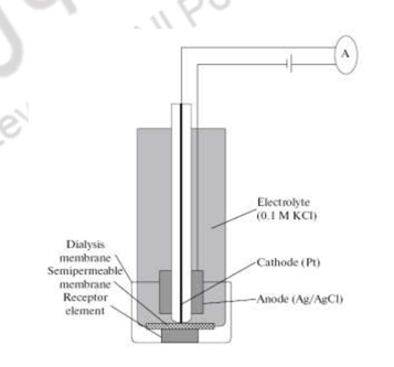 Application of Biosensors in Environmental Monitoring and Recent ...