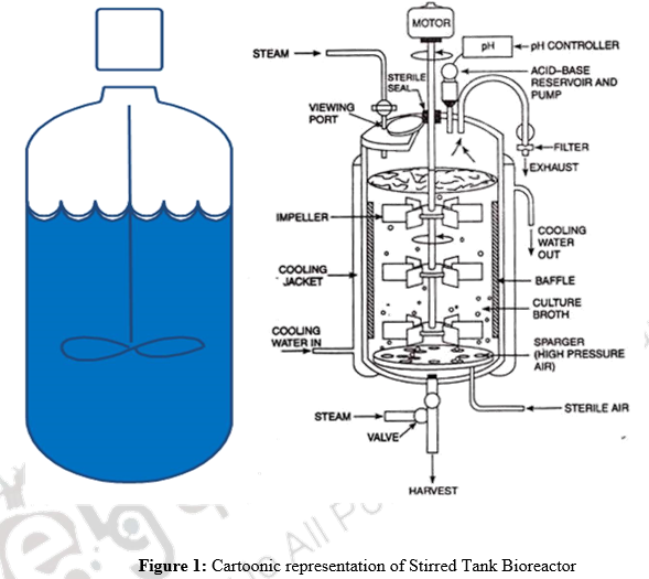 Types of Bioreactor – Environmental Microbiology & Biotechnology