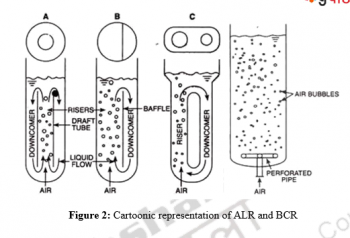 Types of Bioreactor – Environmental Microbiology & Biotechnology