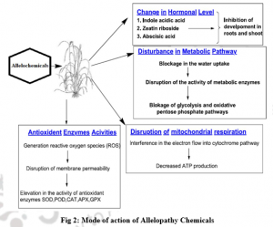 Allelopathy – Environmental Microbiology & Biotechnology