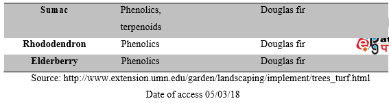 Allelopathy – Environmental Microbiology & Biotechnology
