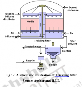 Microbiology of industrial effluents and their treatment ...