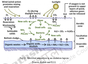 Microbiology of industrial effluents and their treatment ...